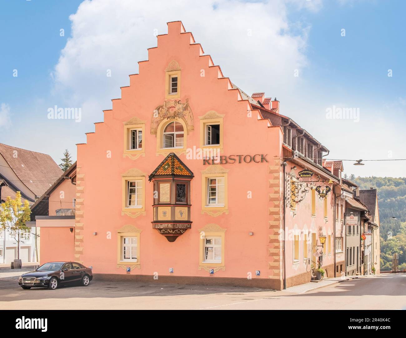 Rebstock hi-res stock photography and images - Alamy
