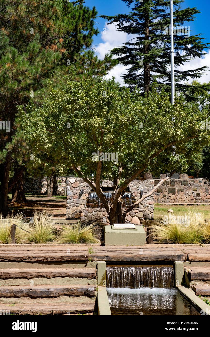 The apple tree at the site of the meeting of San Martin & Col. Olazabal ...