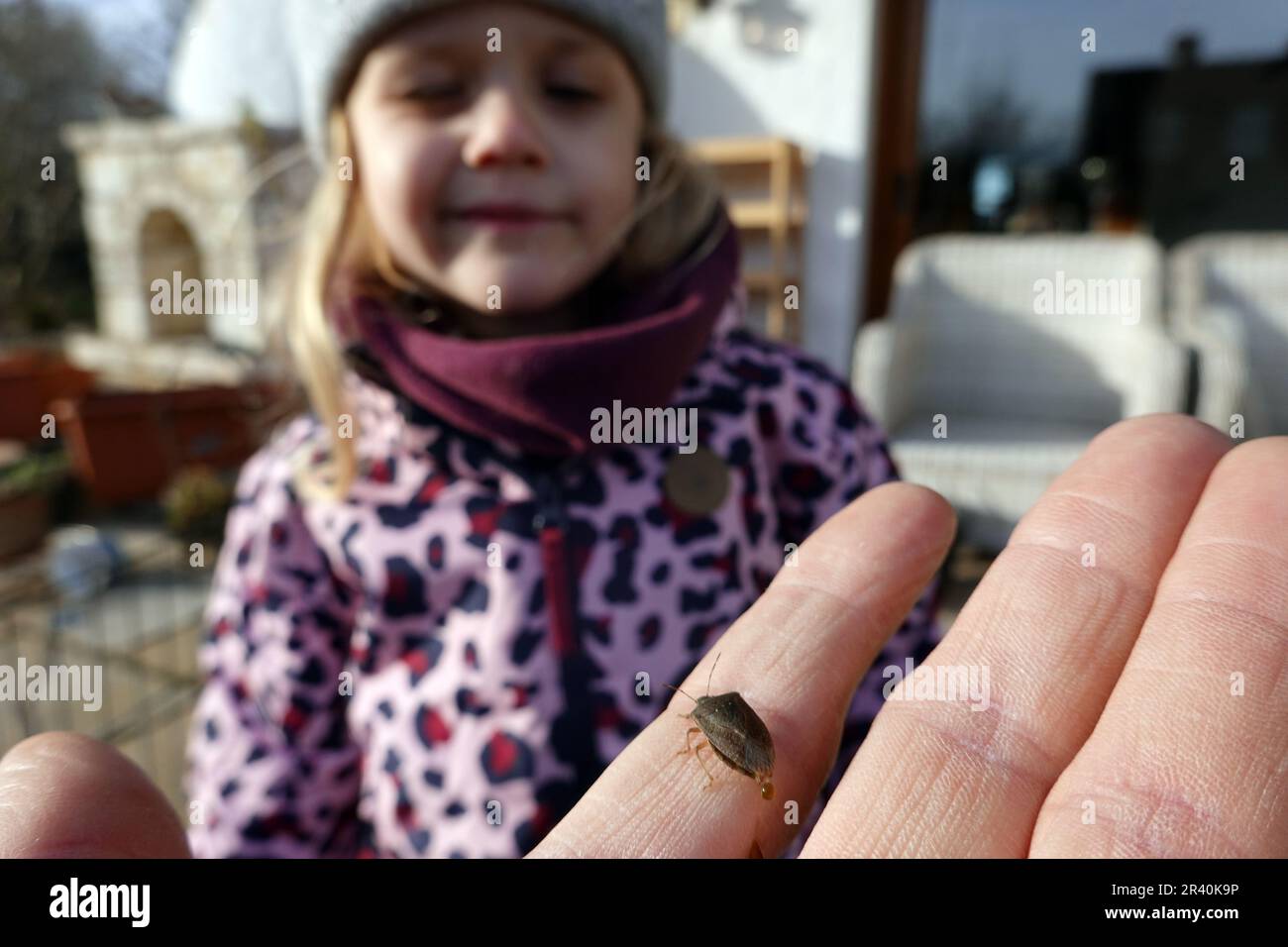 Little child watching a bug on a finger Stock Photo - Alamy