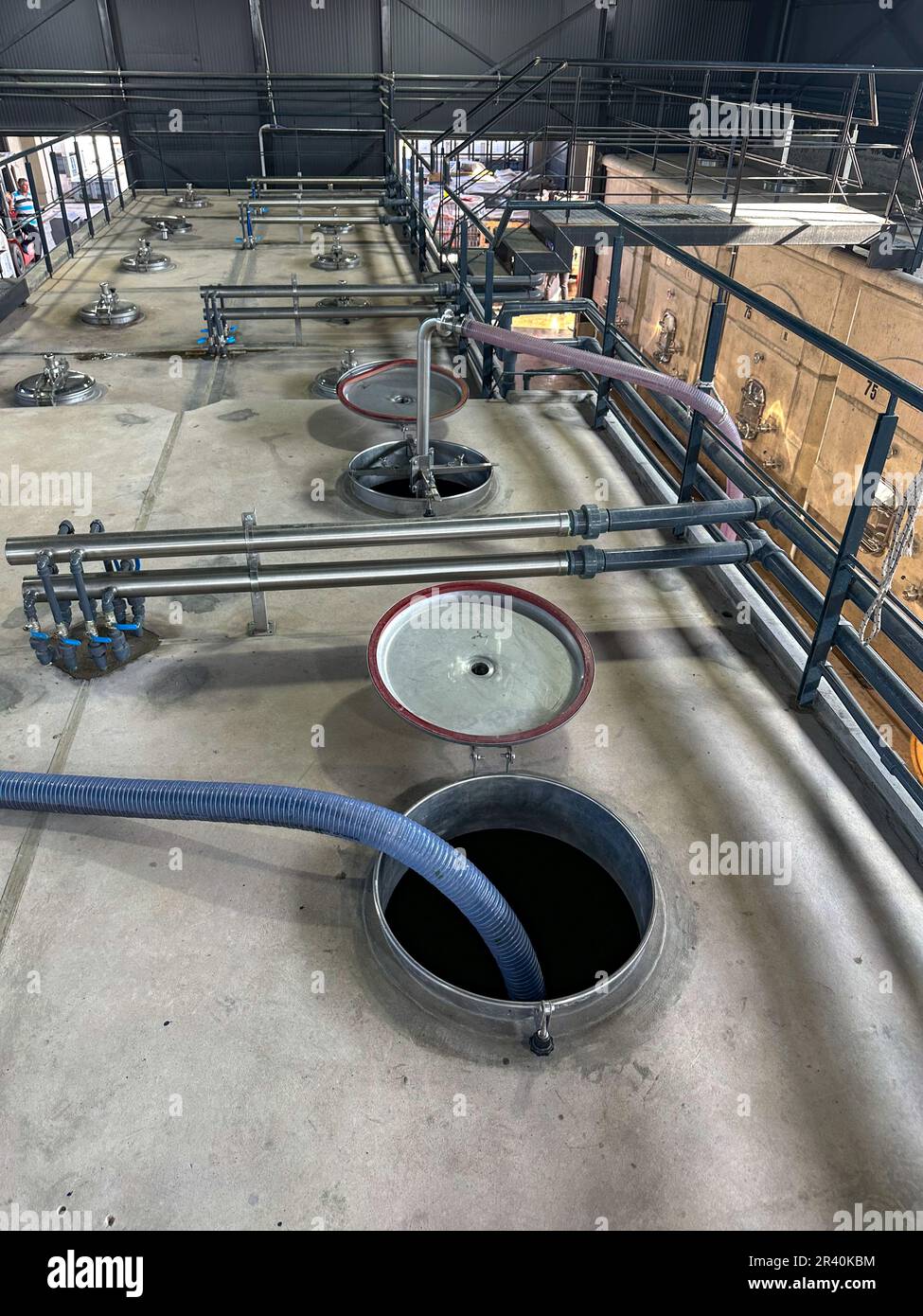 Grape must is pumped to fill a wine vat in the Los Cuadros Winery ...