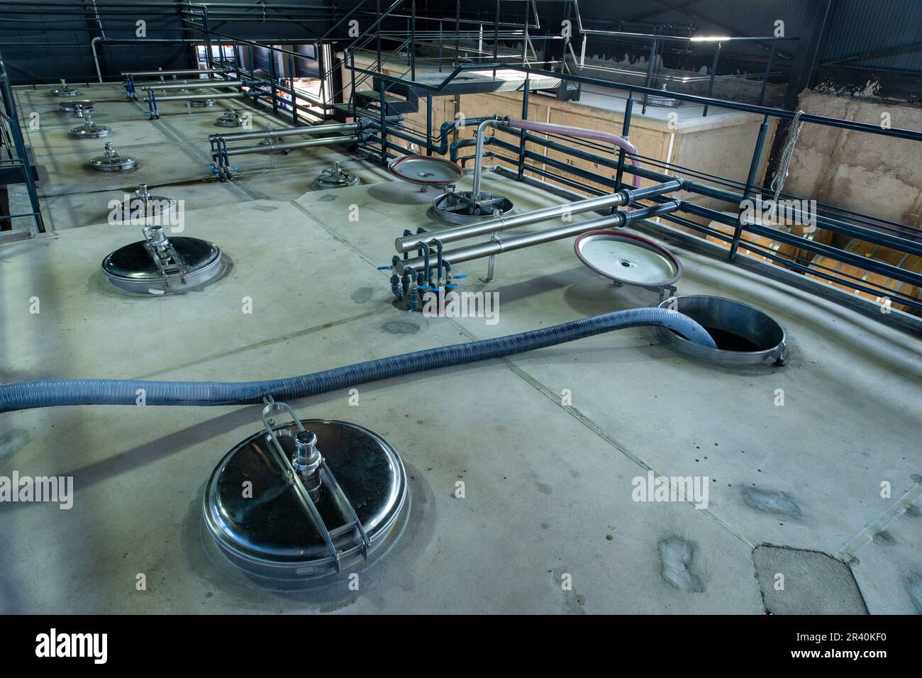 Grape must is pumped to fill a wine vat in the Los Cuadros Winery ...