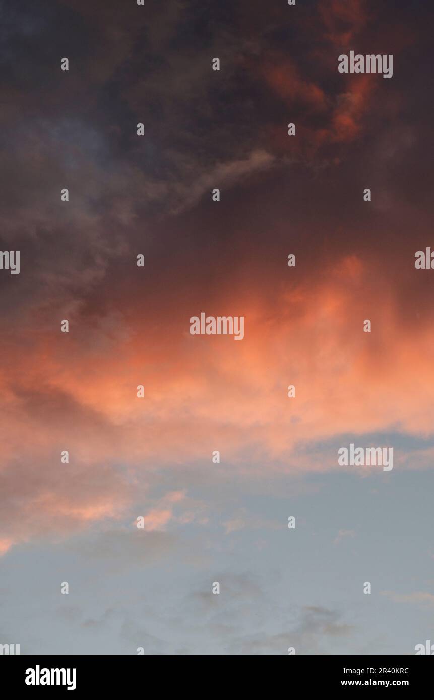 Strong bad hi-res stock photography and images - Alamy