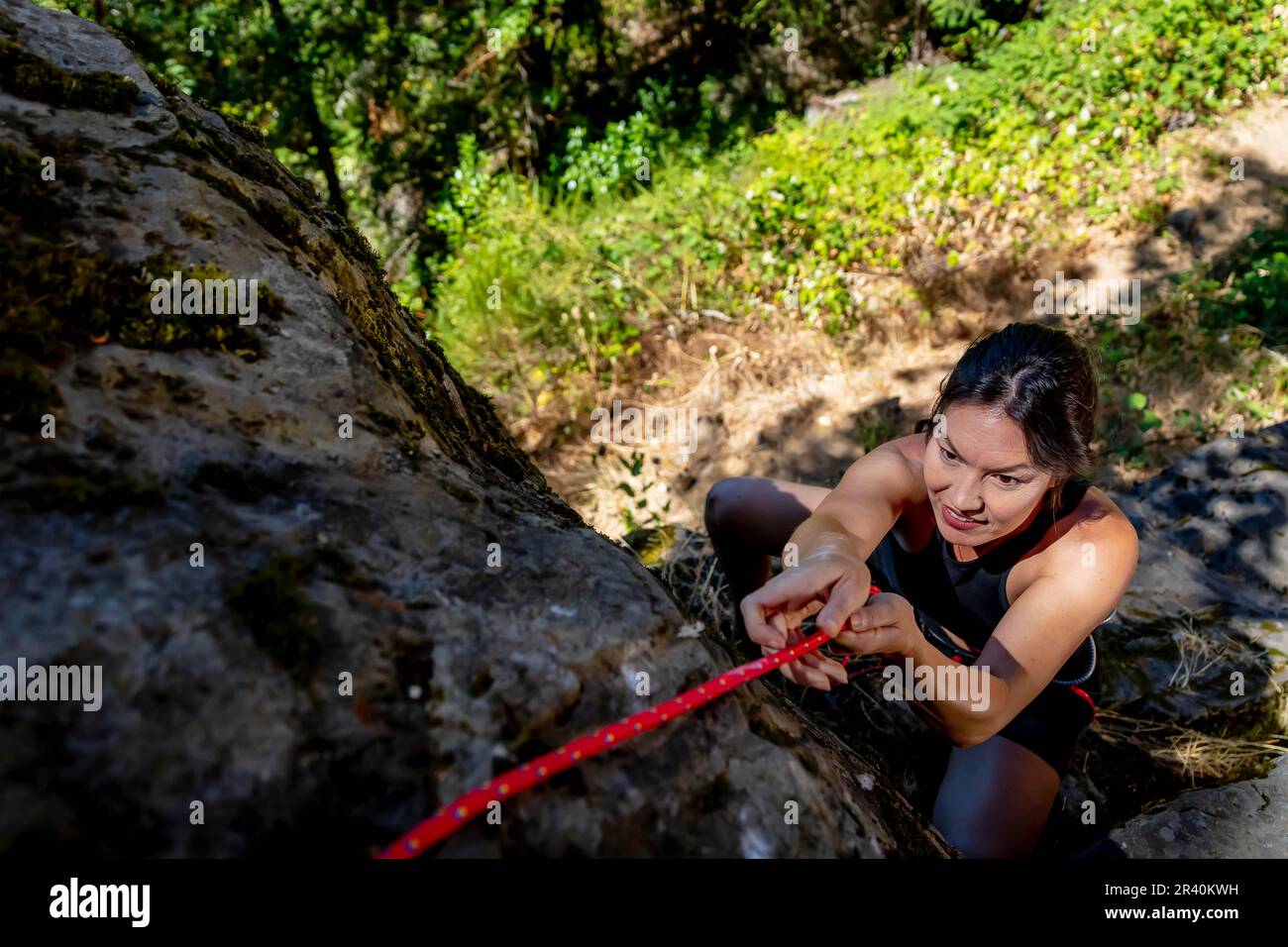 Madrone wall park hi-res stock photography and images - Alamy