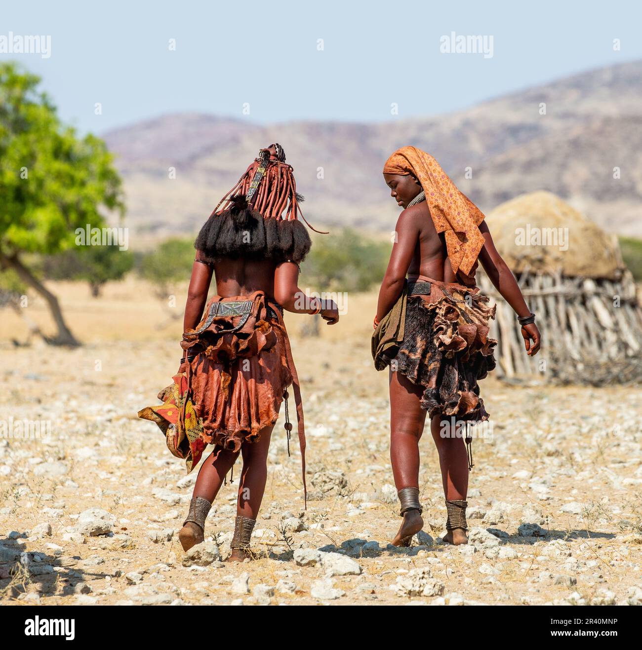 Two women of the Himba tribe walk through the desert in national ...