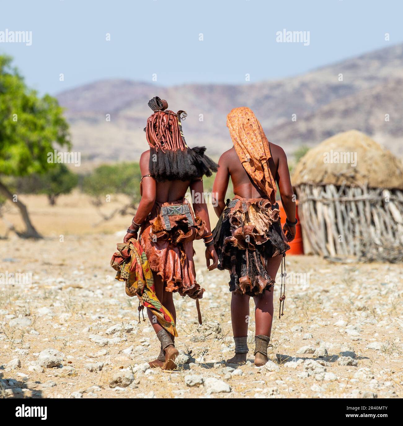 Two women of the Himba tribe walk through the desert in national ...