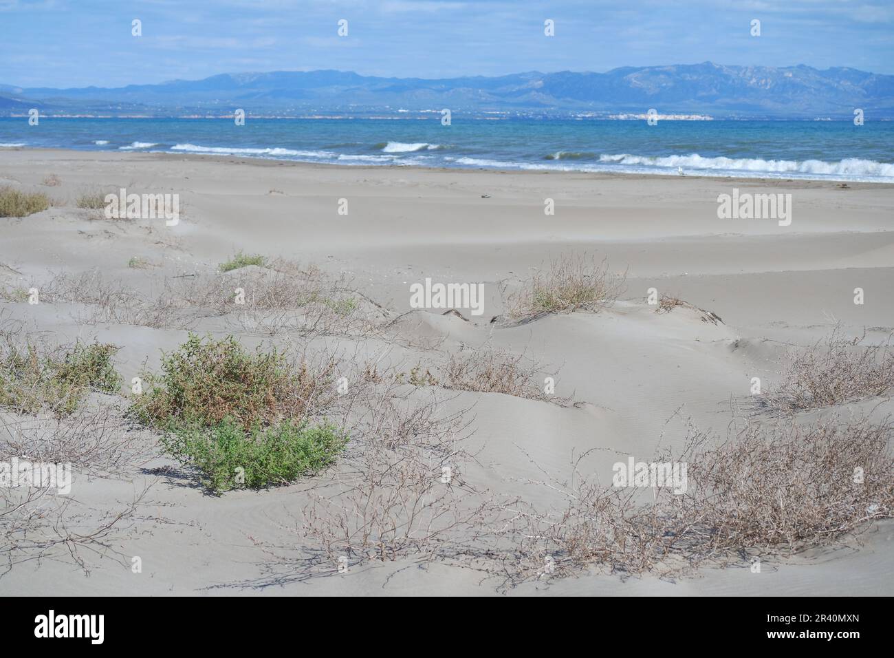 Sand dunes in the nature park Delta de l'Ebre Stock Photo - Alamy