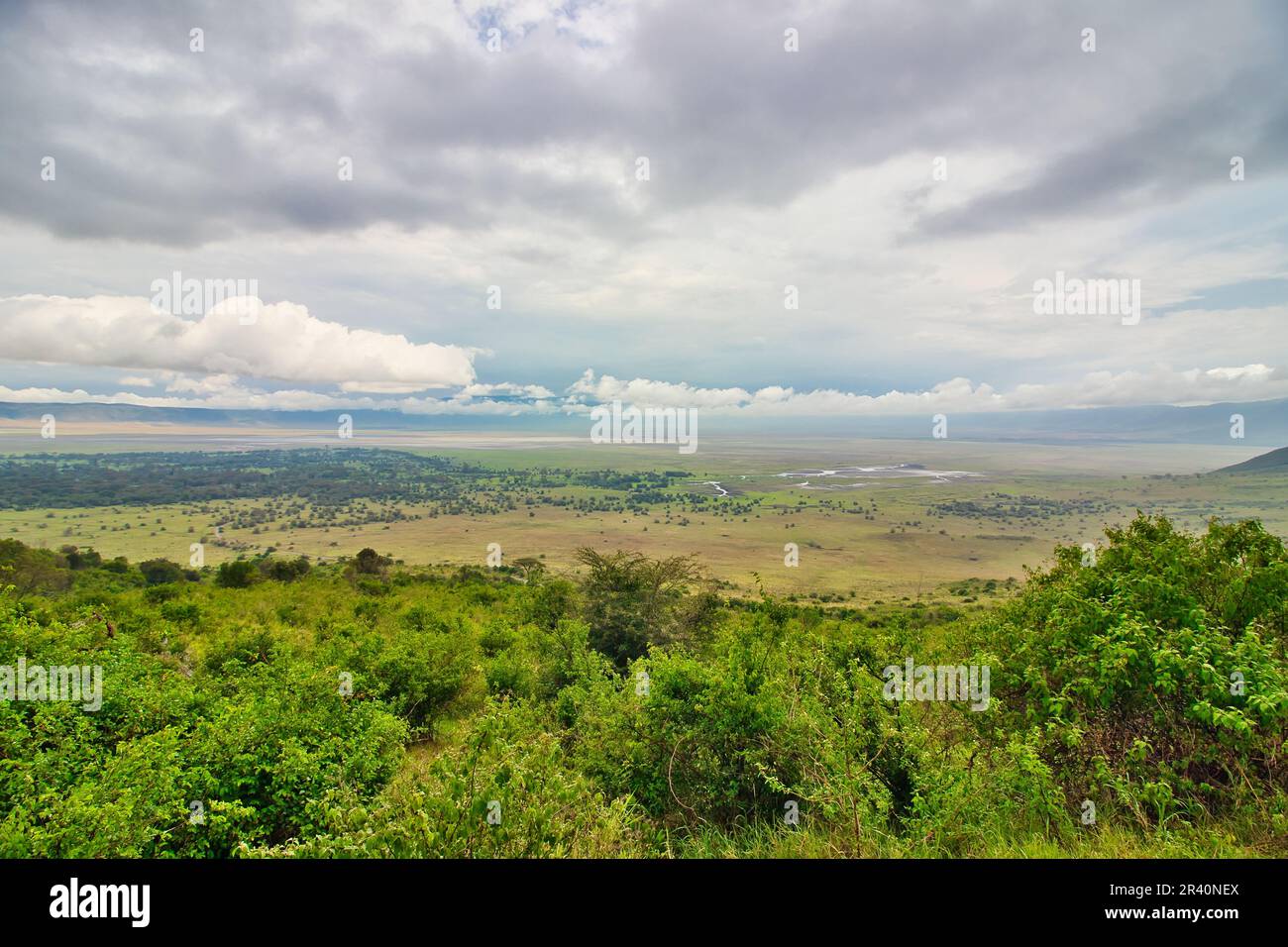 A Panoroma of the crater floor of the Ngorongoro crater, Tanzania Stock ...