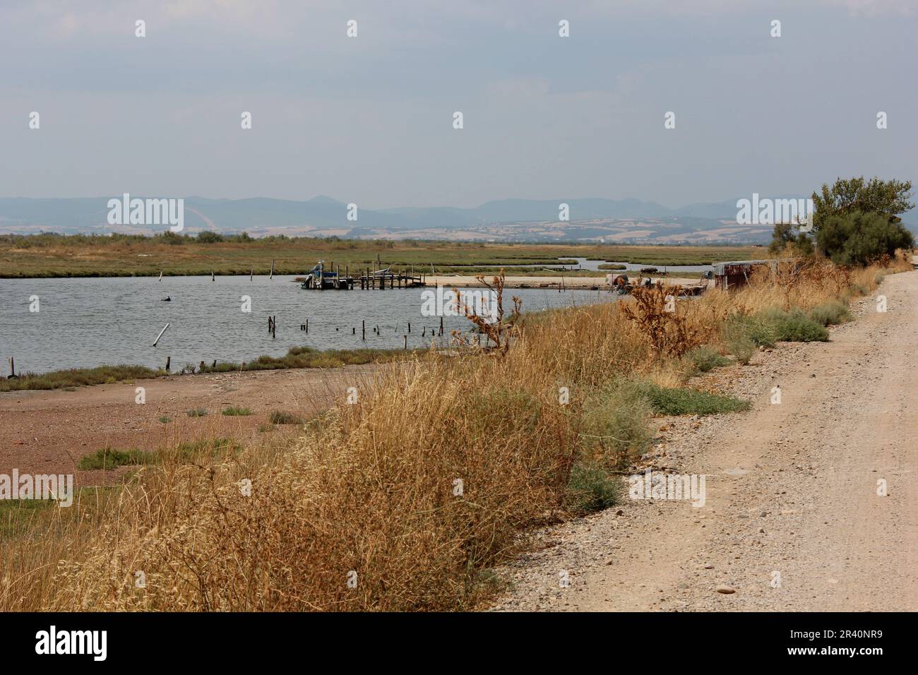 Delta Evros National Park, Evros Thraki Greece Stock Photo - Alamy