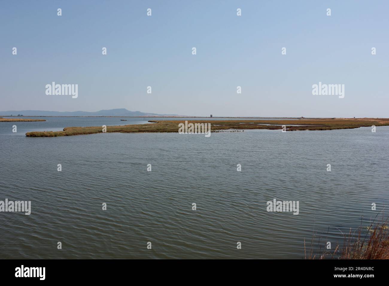 Delta Evros National Park, Evros Thraki Greece Stock Photo - Alamy