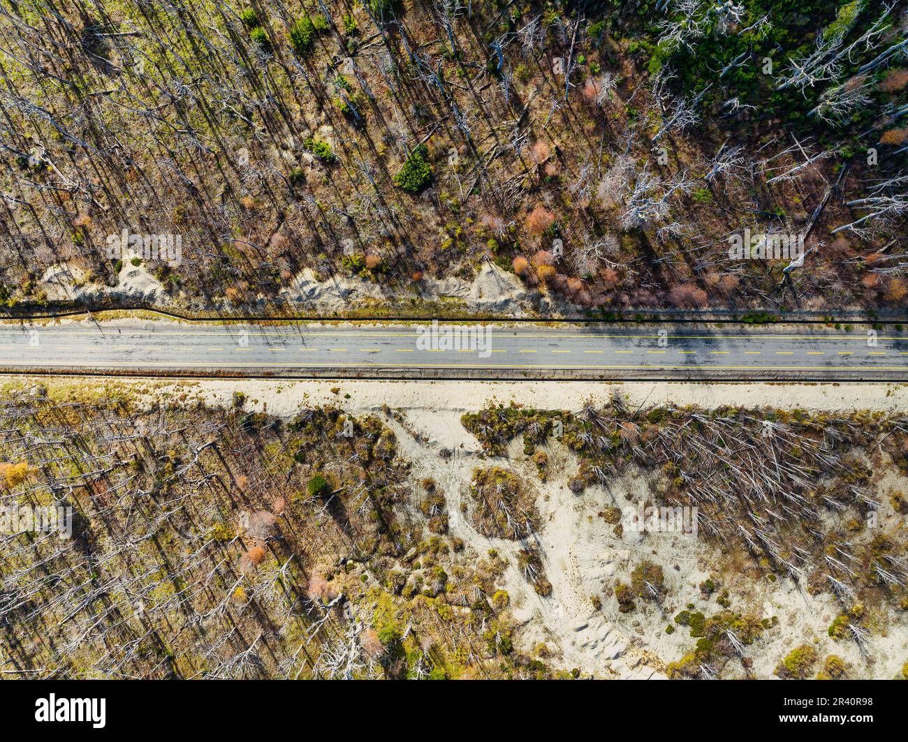 Chile-Argentina border route in autumn. Puyehue, Los Lagos, Chile Stock ...