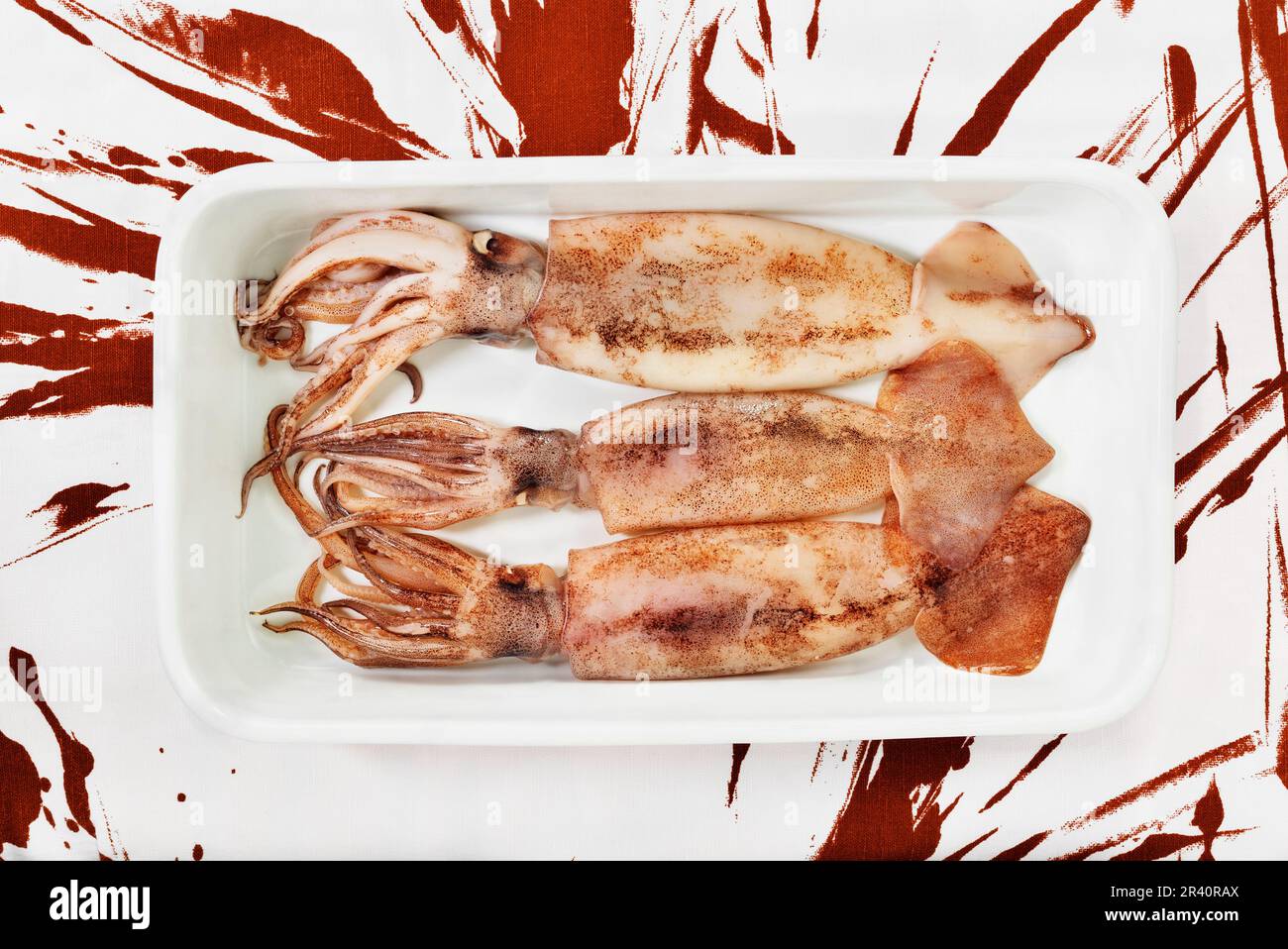 Three European flying squid in white bowl,fresh uncooked fish Stock ...