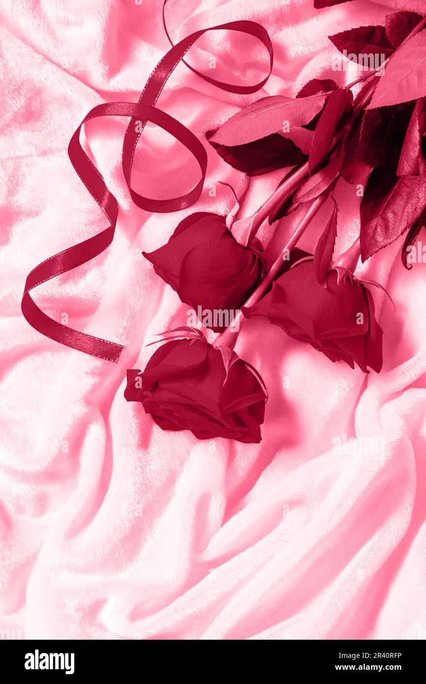 Bed of red roses overhead hi-res stock photography and images - Alamy