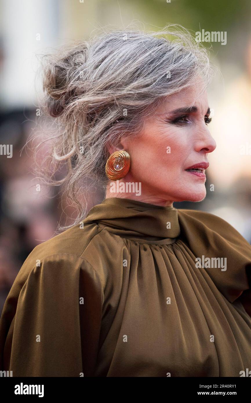 Andie MacDowell poses for photographers upon arrival at the premiere of ...
