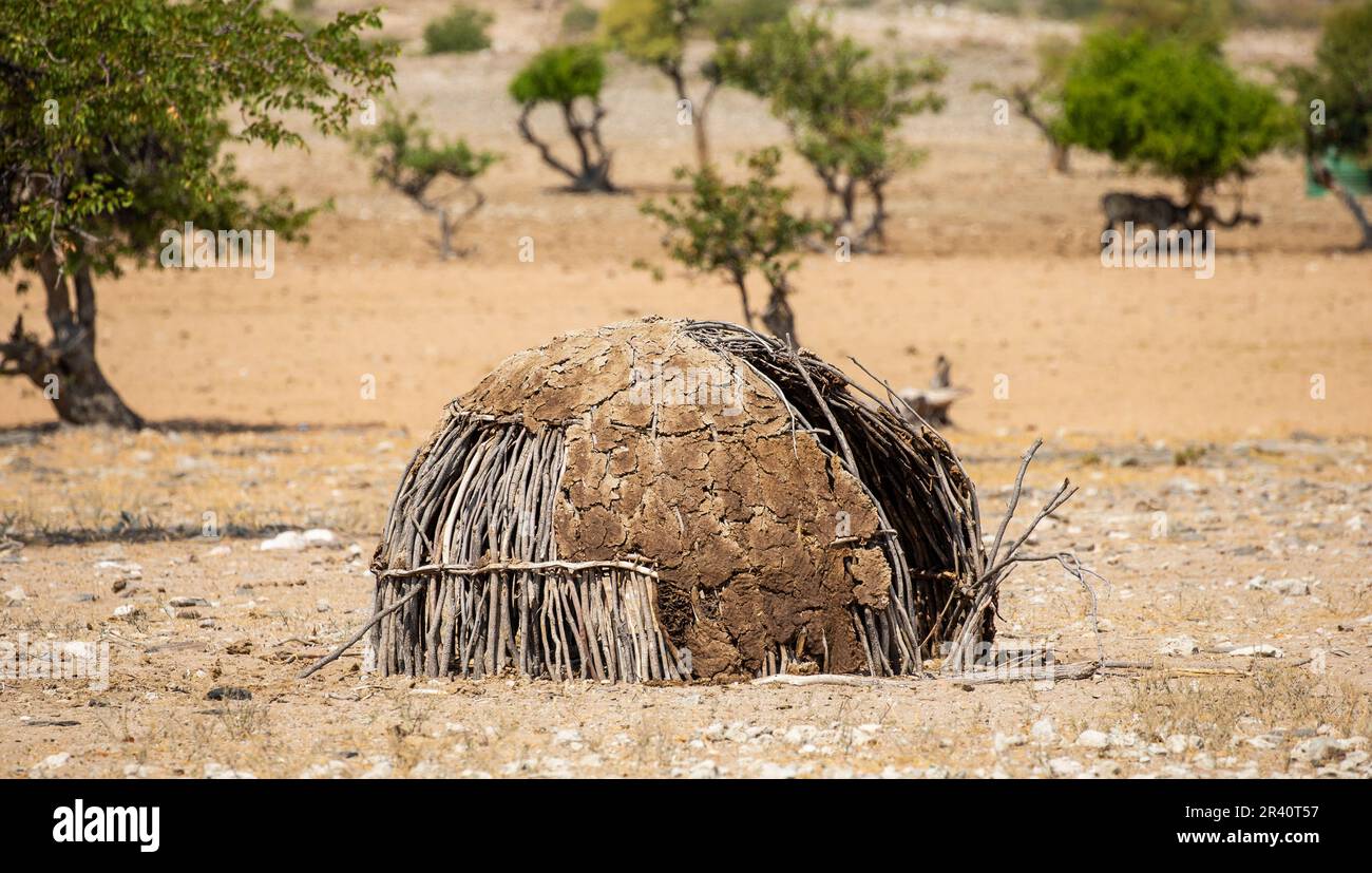 Traditional home of the Himba tribe Stock Photo - Alamy