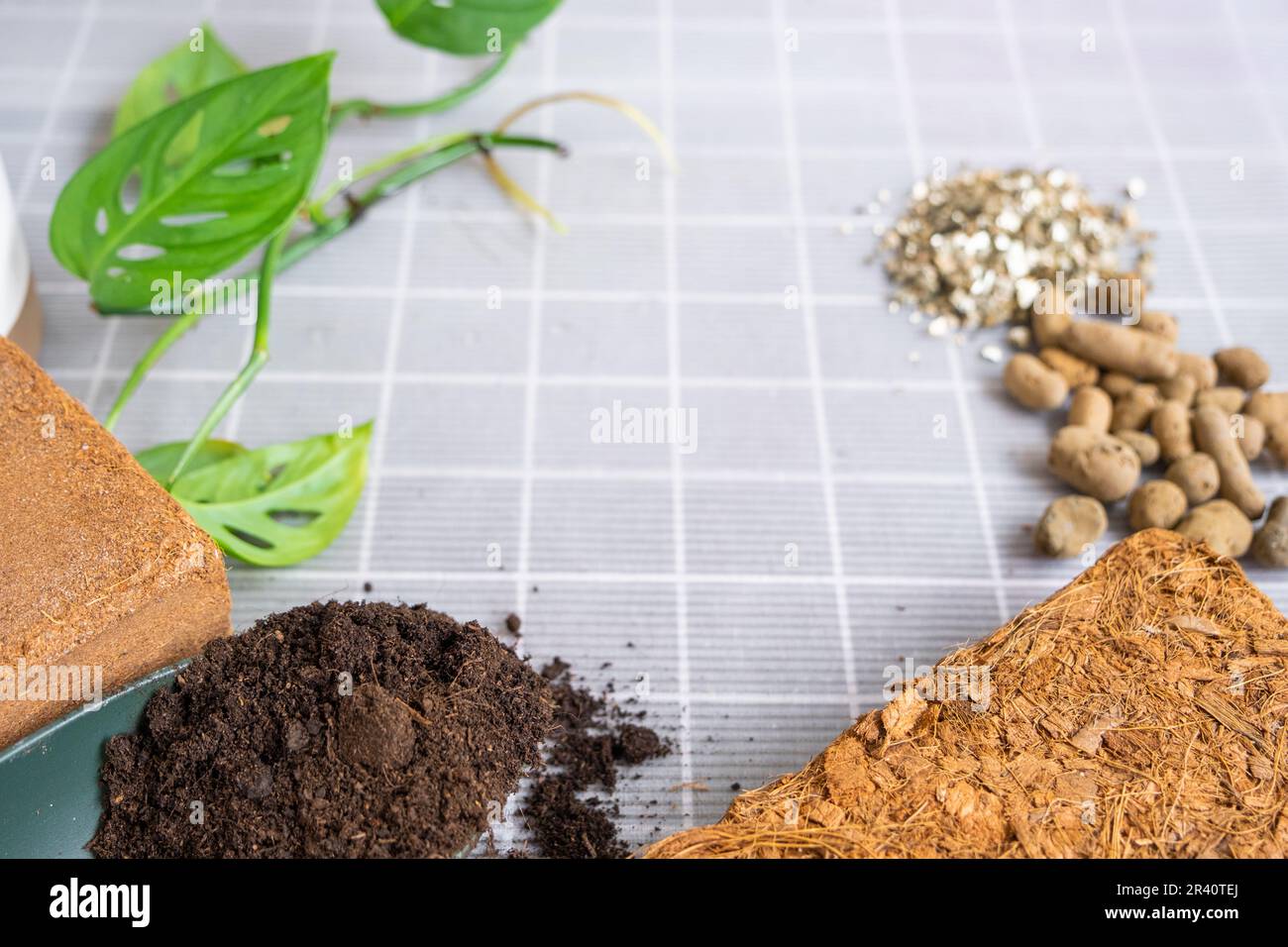 Ingredients for transplanting domestic plants, soil composition ...