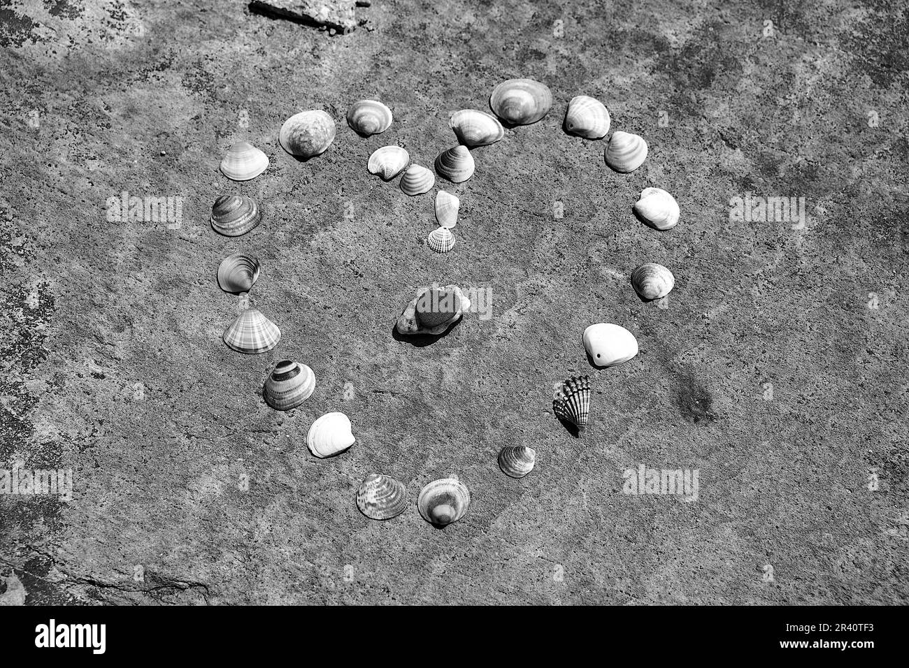 Arranged sea shells on the beach hi-res stock photography and images ...