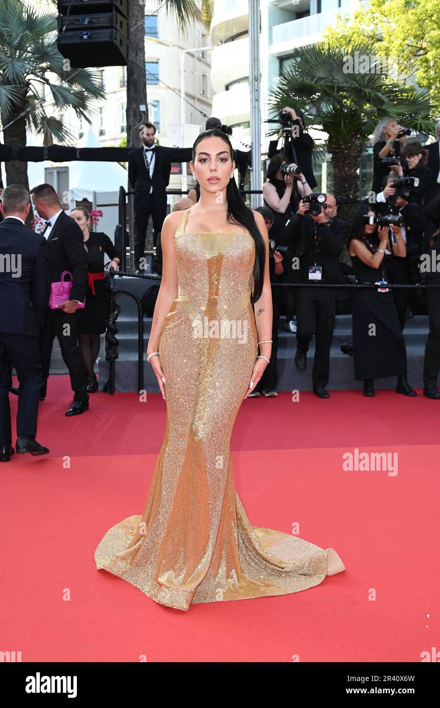 76th Cannes Film Festival 2023, Red Carpet film “ L'Ete Dernier (Last ...