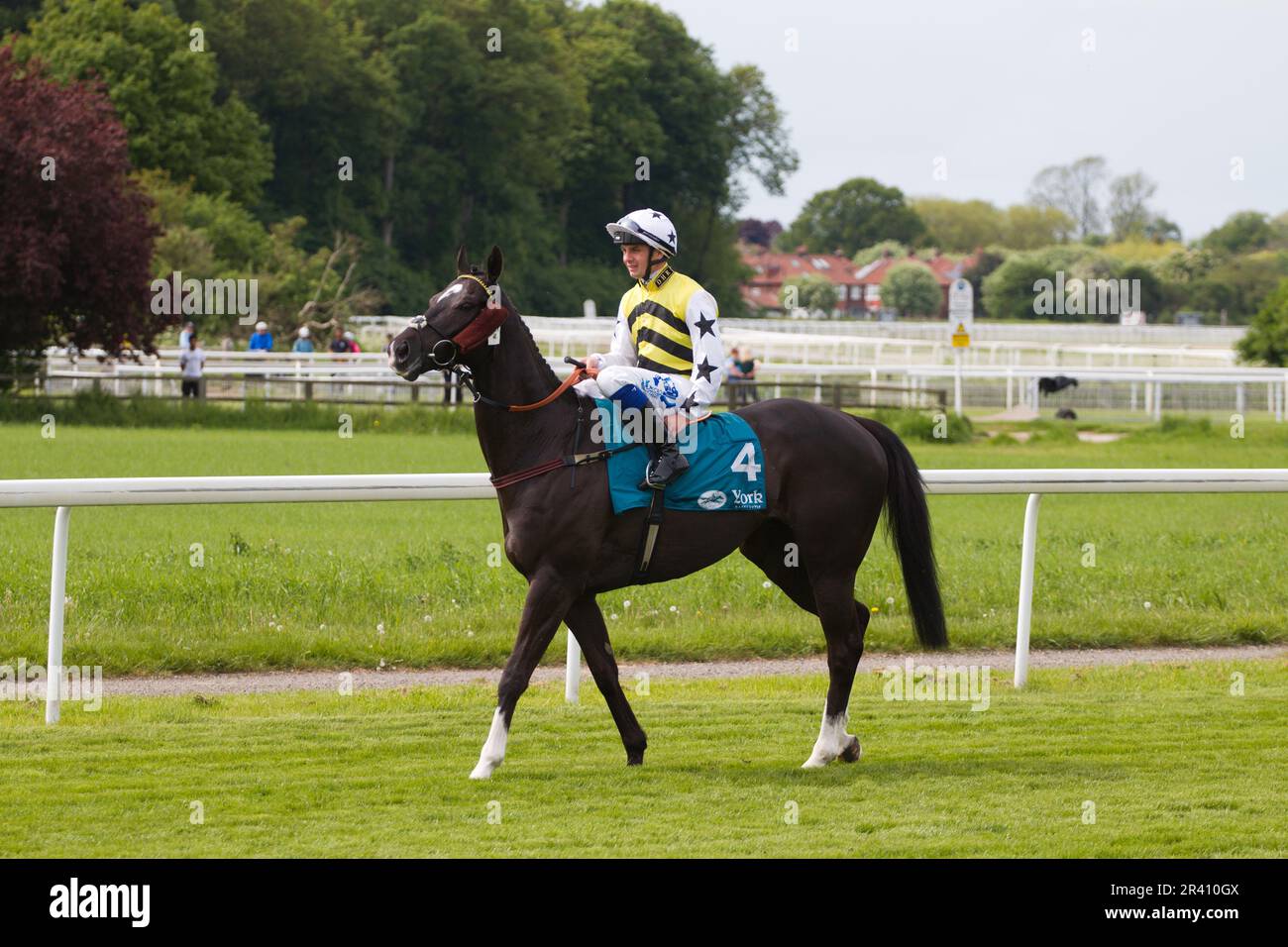 Jockey Connor Beasley on Commanche Falls at York Races Stock Photo - Alamy