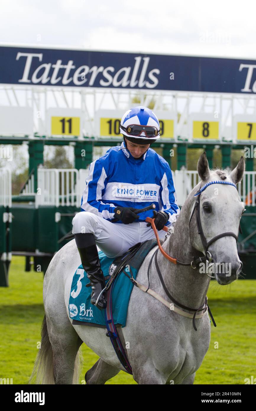 Jockey David Allan on Art Power at York Races Stock Photo - Alamy