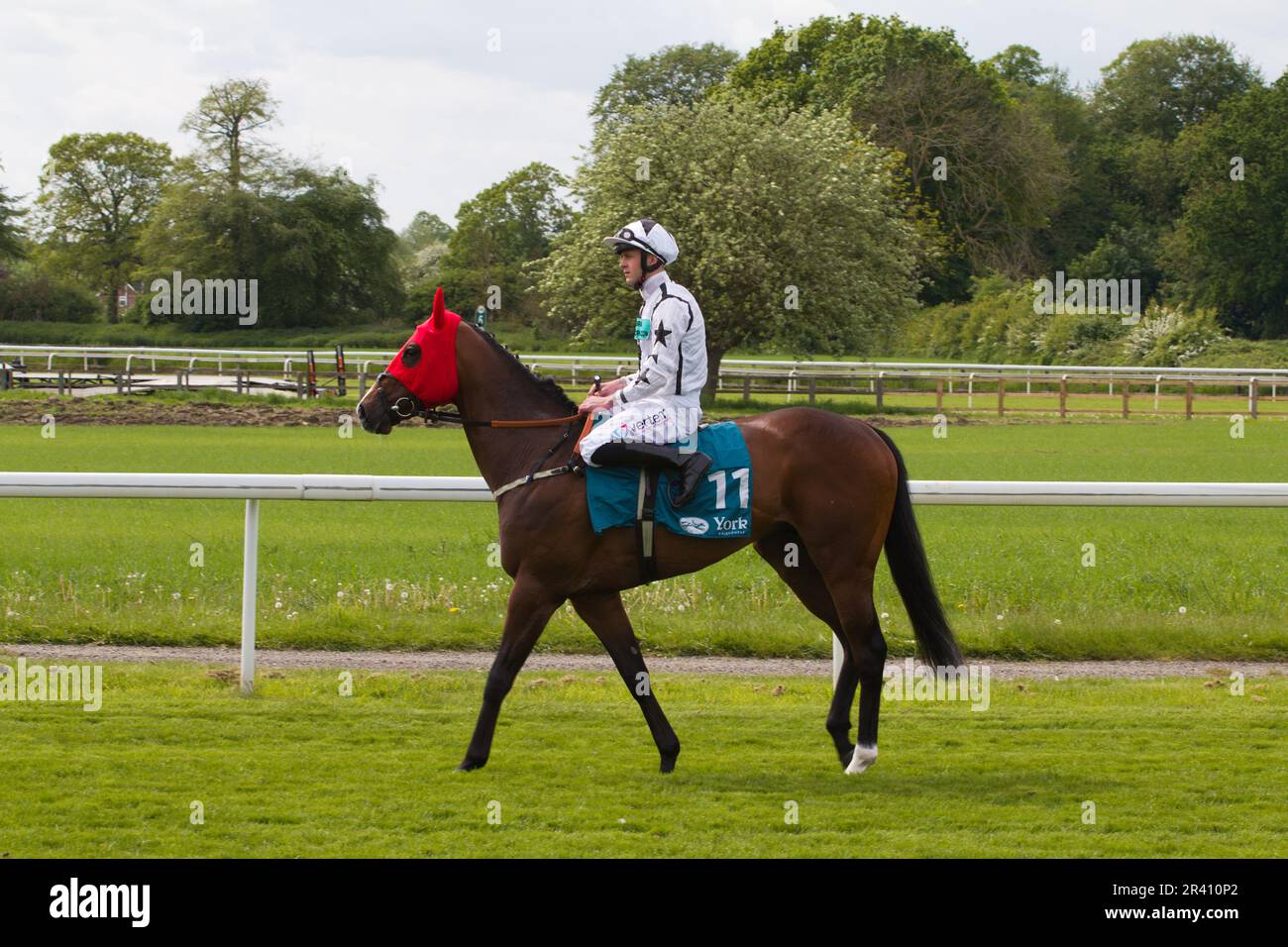 Clifford lee jockey hi-res stock photography and images - Alamy