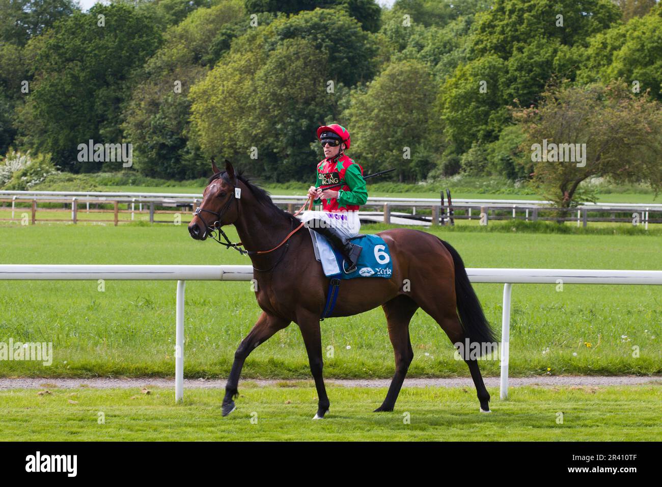 Jockey Kevin Shoemark on Diligent Harry at York Racecourse Stock Photo ...