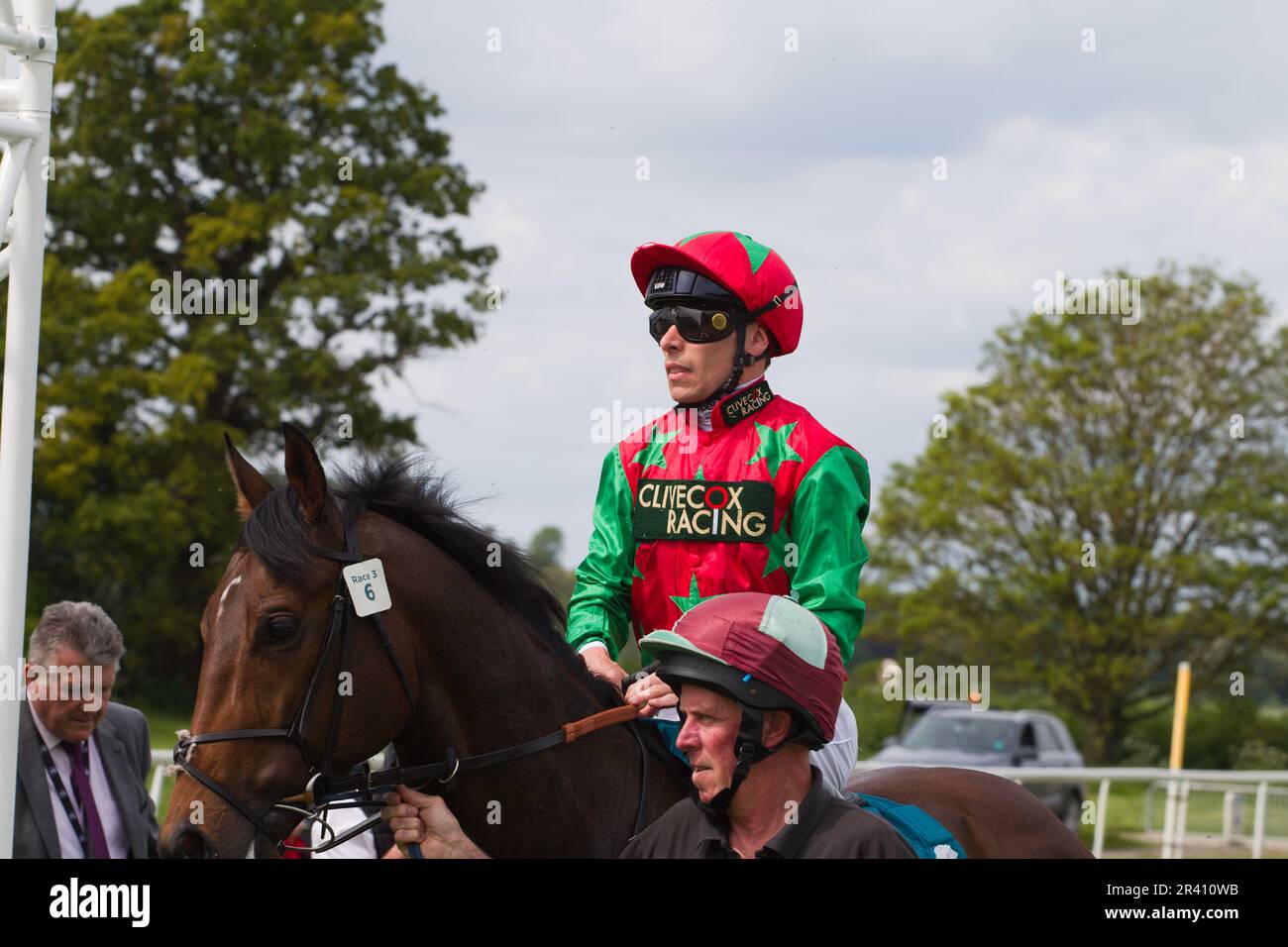 Diligent harry horse hi-res stock photography and images - Alamy