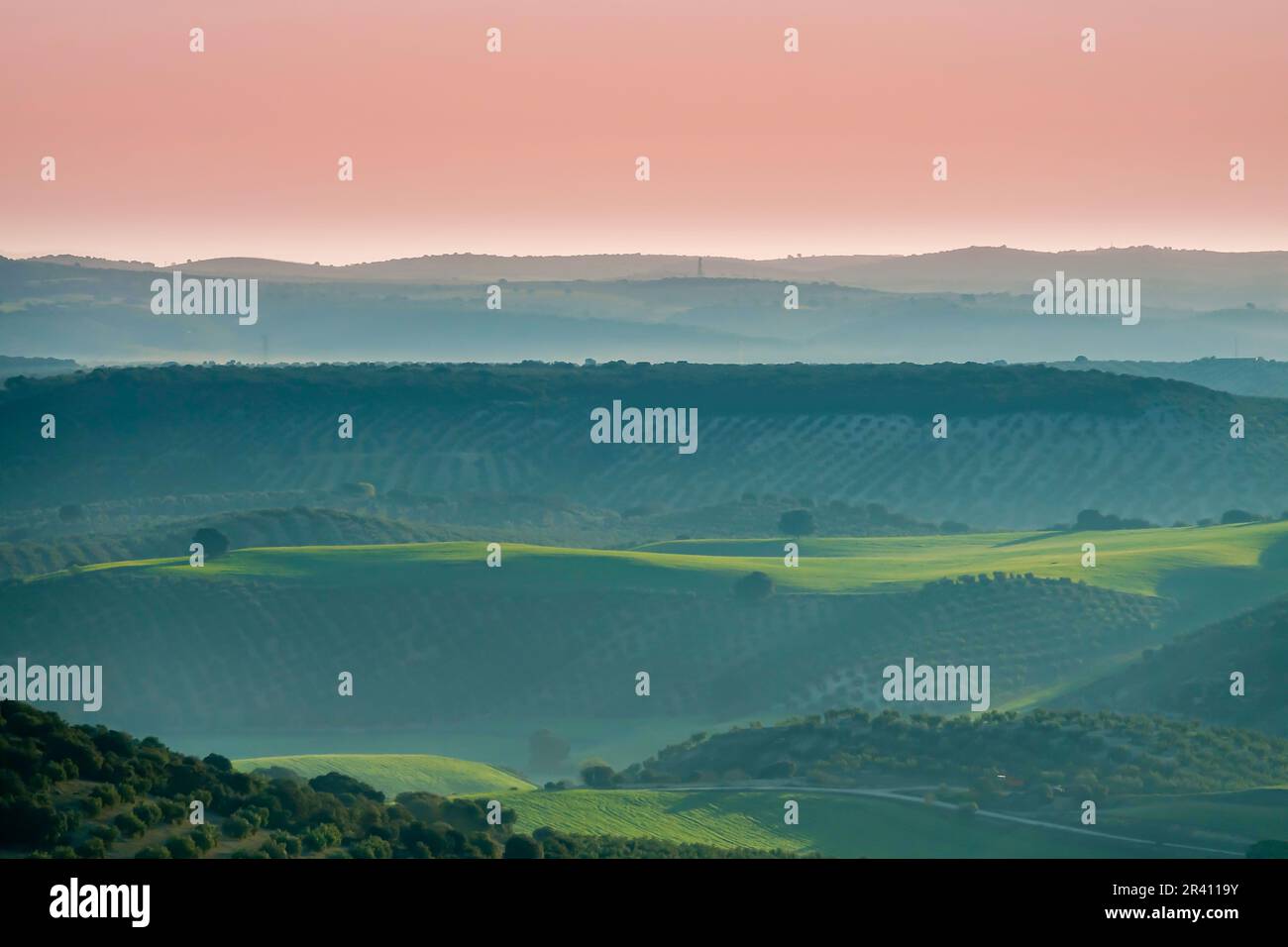 Andalusian agricultural landscape at sunrise with green hills of olive ...
