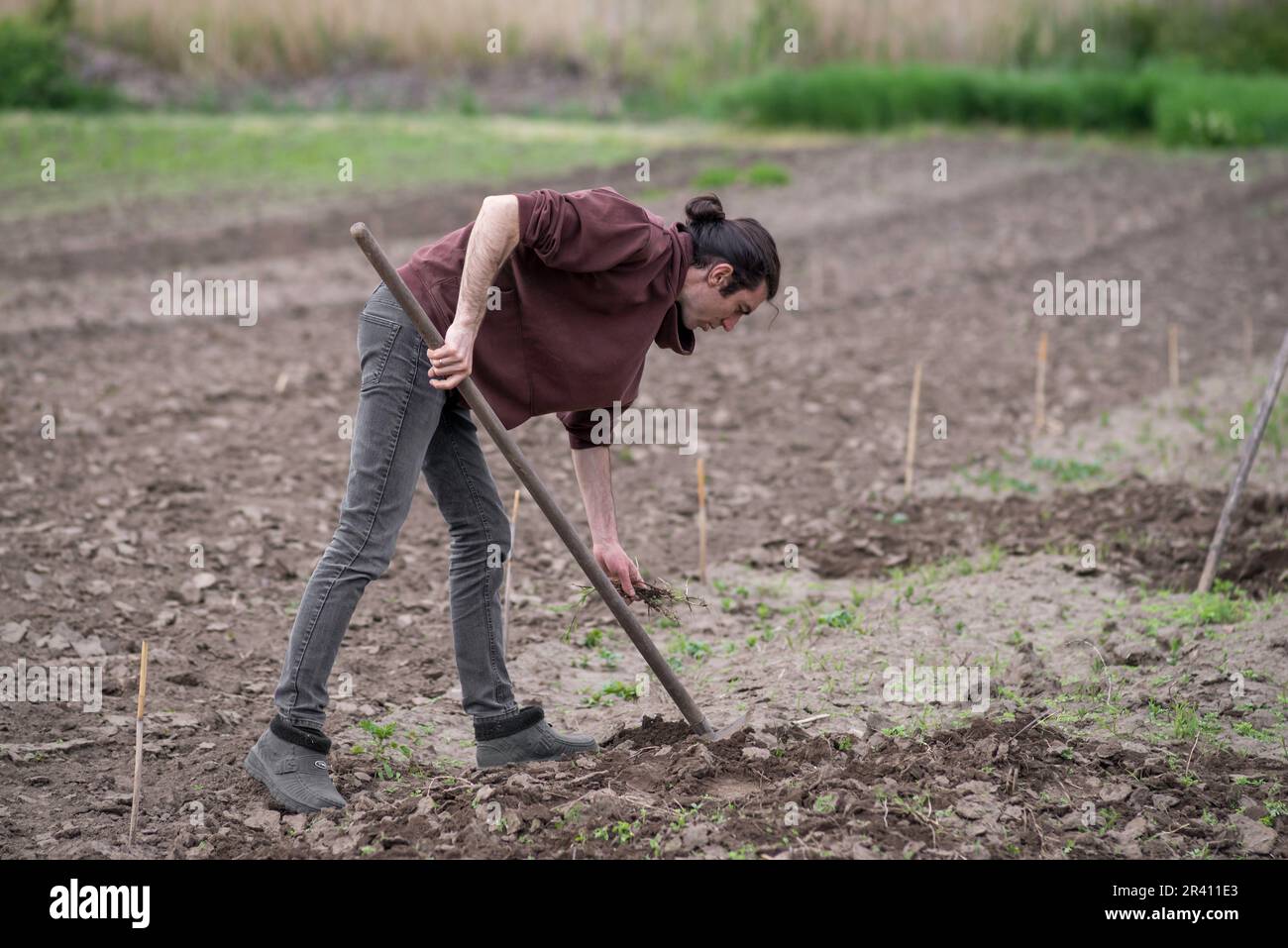 sustainable organic agriculture;hoeing soil , men tilling the orchard ...