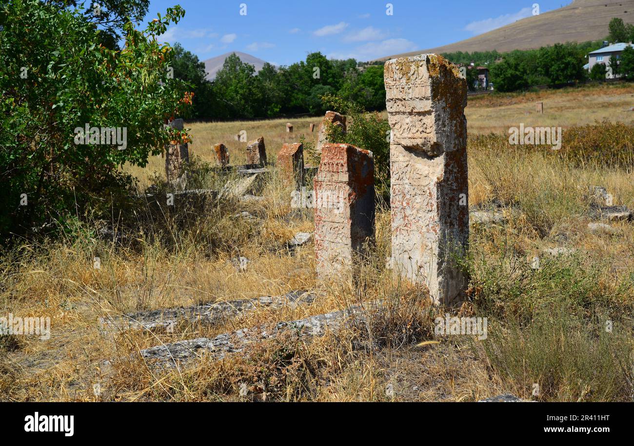Halime Hatun Vault is a Seljuk mausoleum located in the Gevas district ...