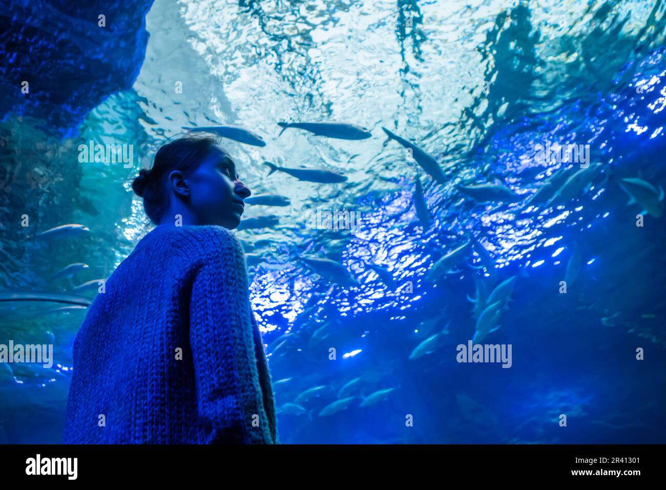 Inside large tunnel aquarium fish hi-res stock photography and images ...