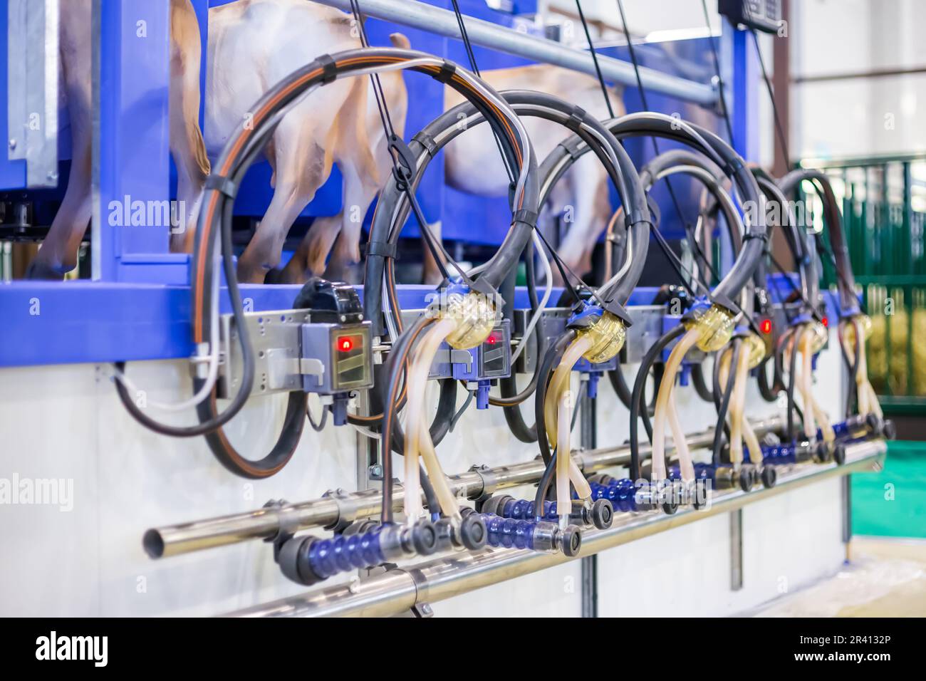 Milking device hi-res stock photography and images - Alamy