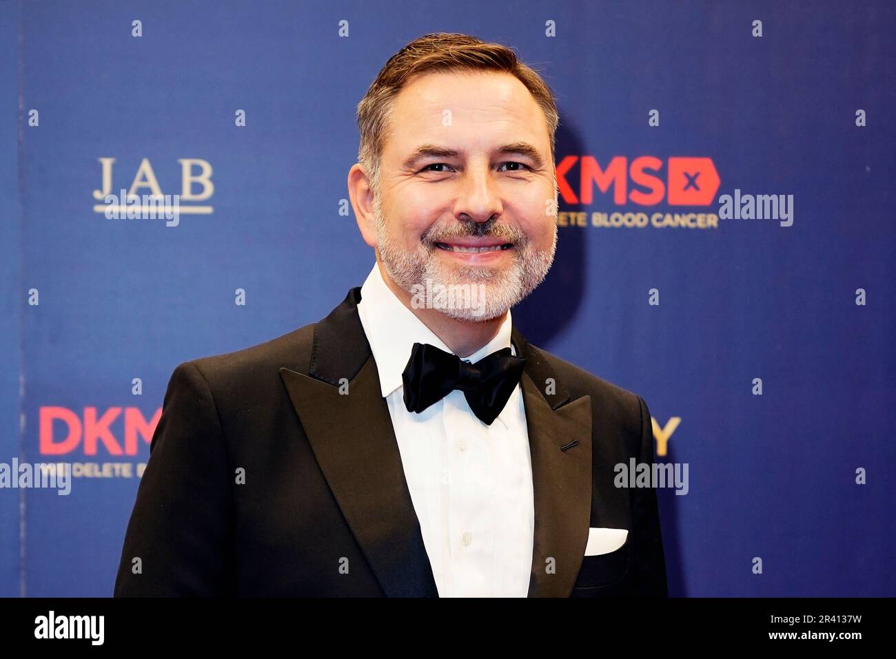 David Walliams attending the DKMS blood cancer charity fundraising gala ...