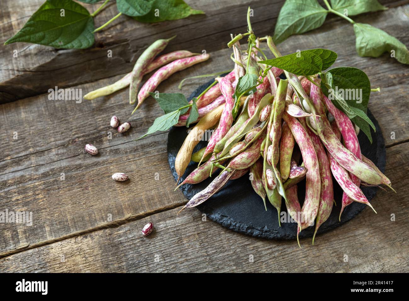 Beans of bean, brown bean (of dried beans) bunch harvest on a rustic ...