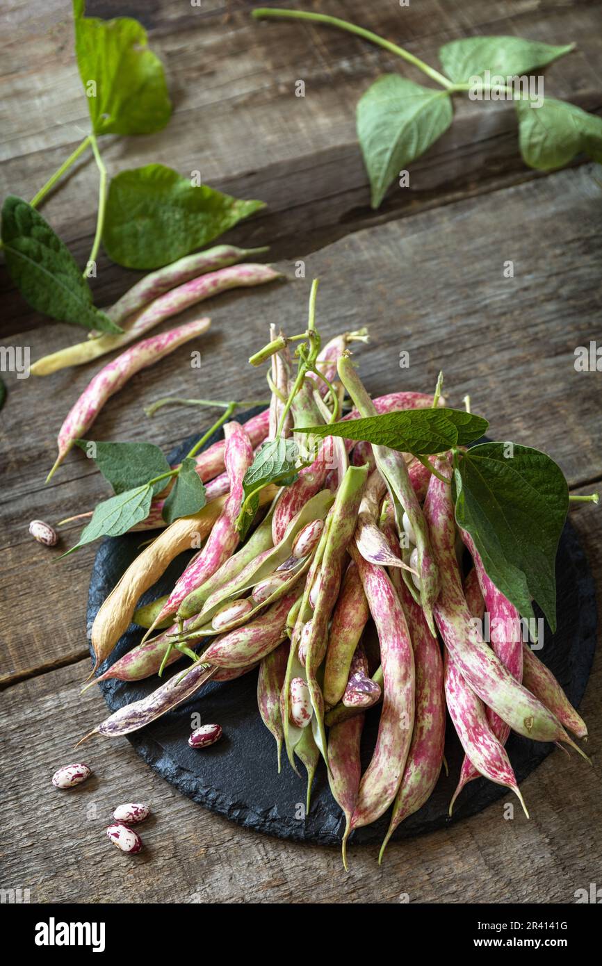 Beans of bean, brown bean (of dried beans) bunch harvest on a rustic ...