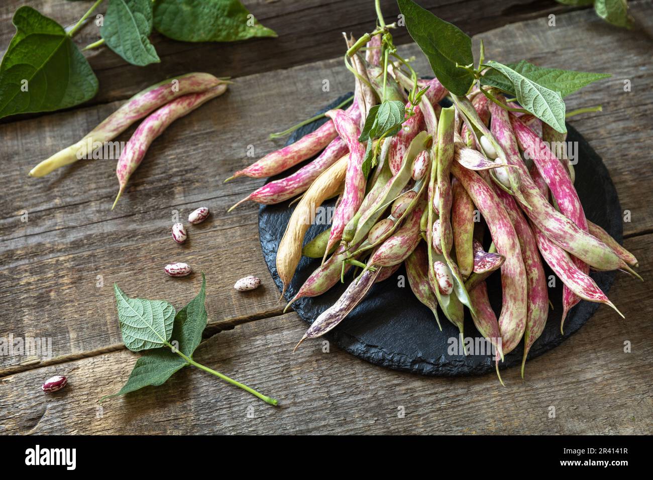 Beans of bean, brown bean (of dried beans) bunch harvest on a rustic ...