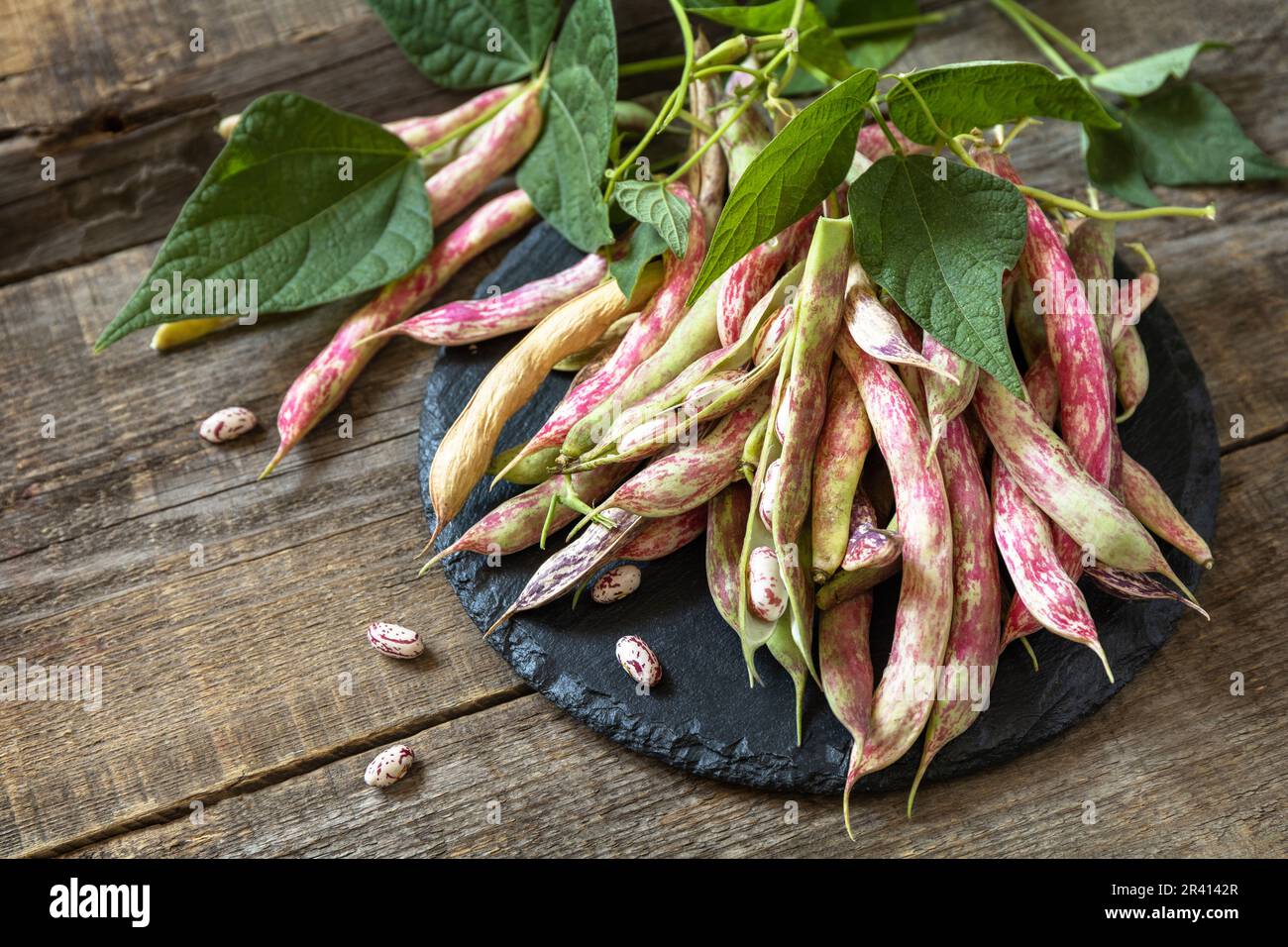 Beans of bean, brown bean (of dried beans) bunch harvest on a rustic ...