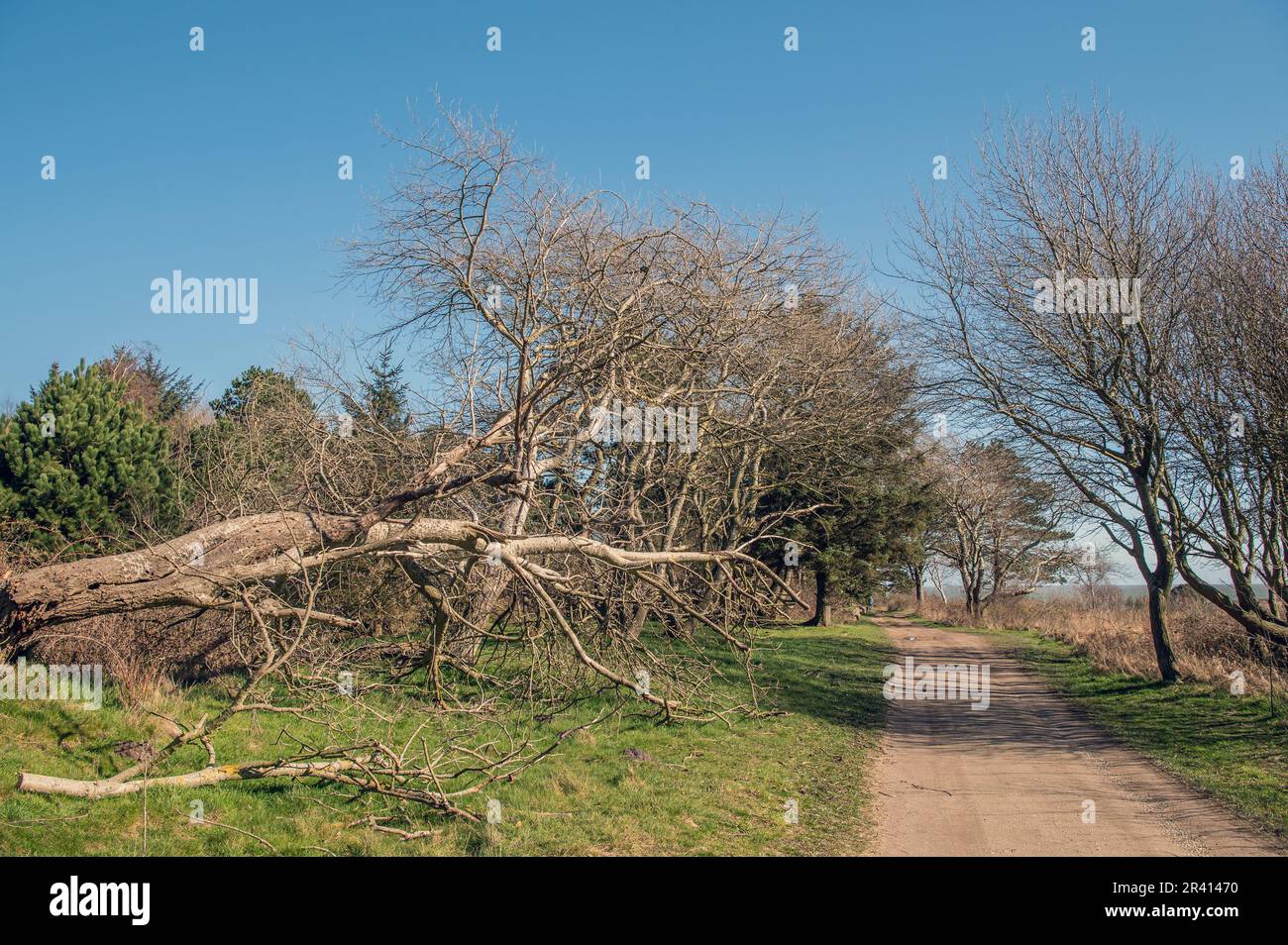 Wind throw hi-res stock photography and images - Alamy