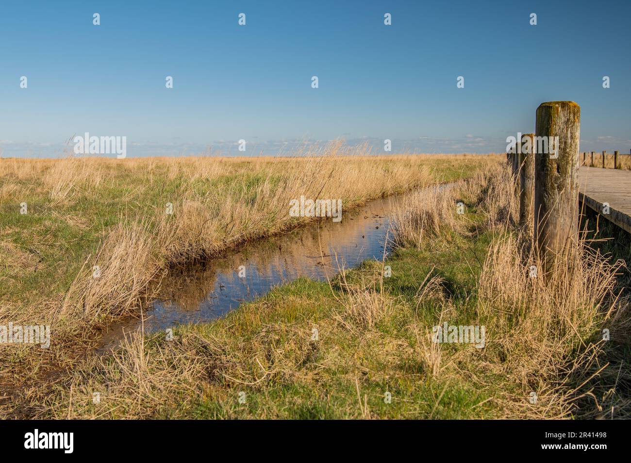 Meadows and ditches hi-res stock photography and images - Alamy