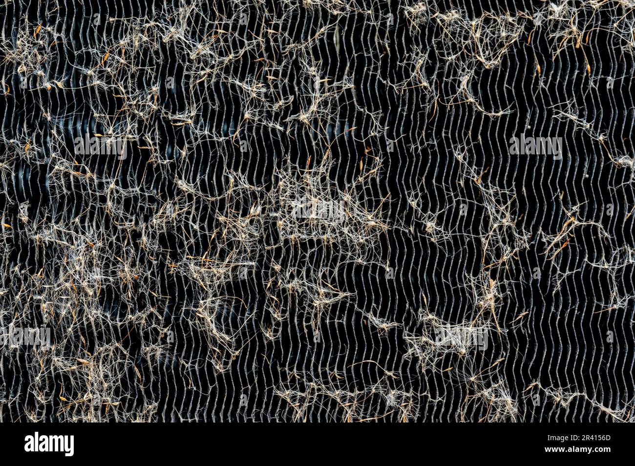 Macro of seed pods and dust collecting on the heat exchanger coils of ...