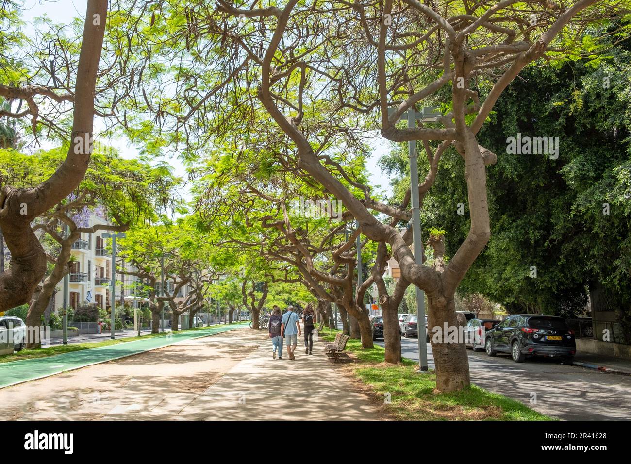 Tel Aviv, Israel - May 18, 2023: people enjoy walking at the alley ...