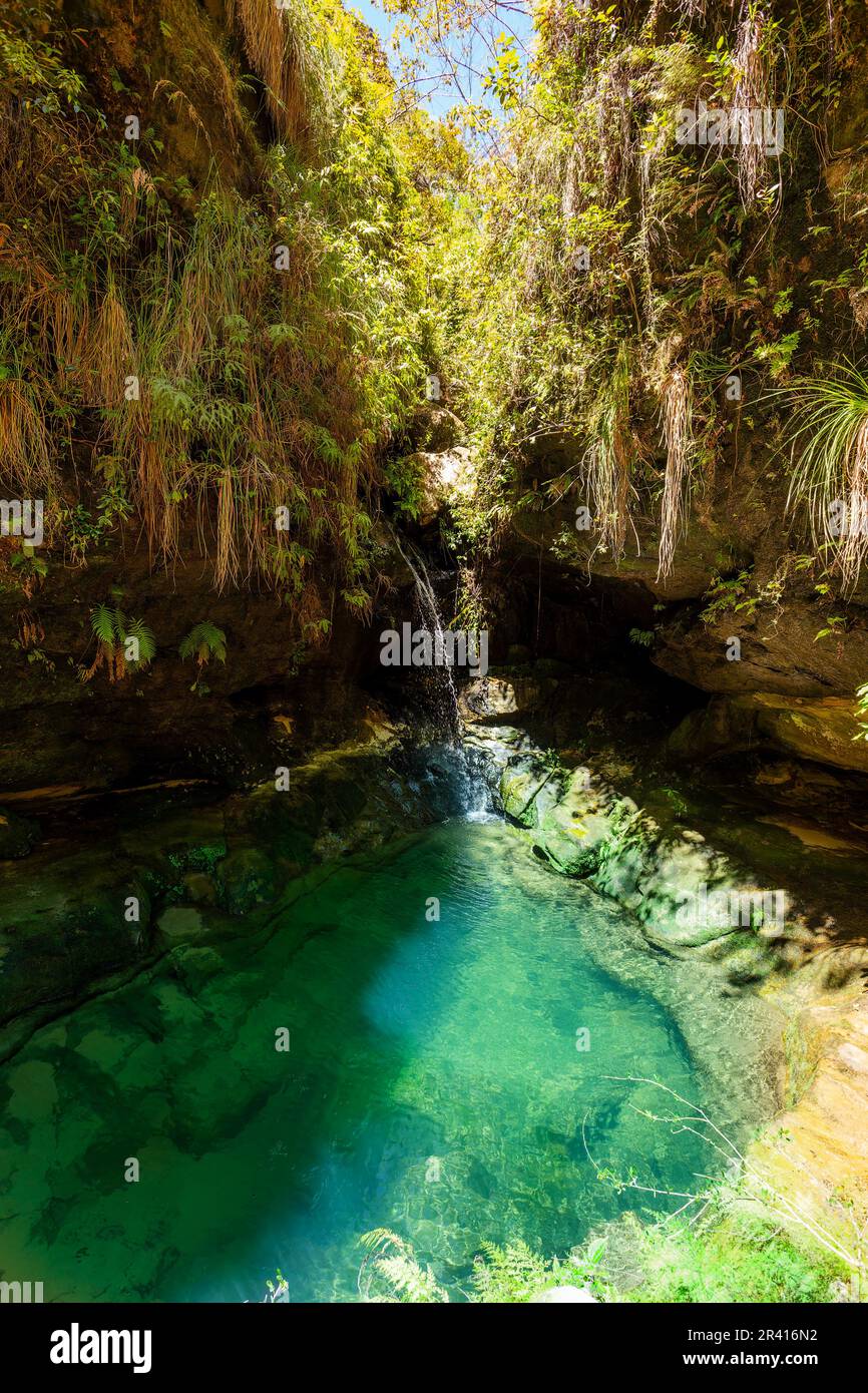 Rain forest waterfall, Madagascar wilderness landscape Stock Photo - Alamy