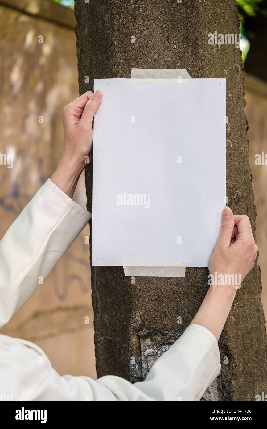 Women's hands glue a blank sheet of paper on a lamppost. Mockup Stock ...