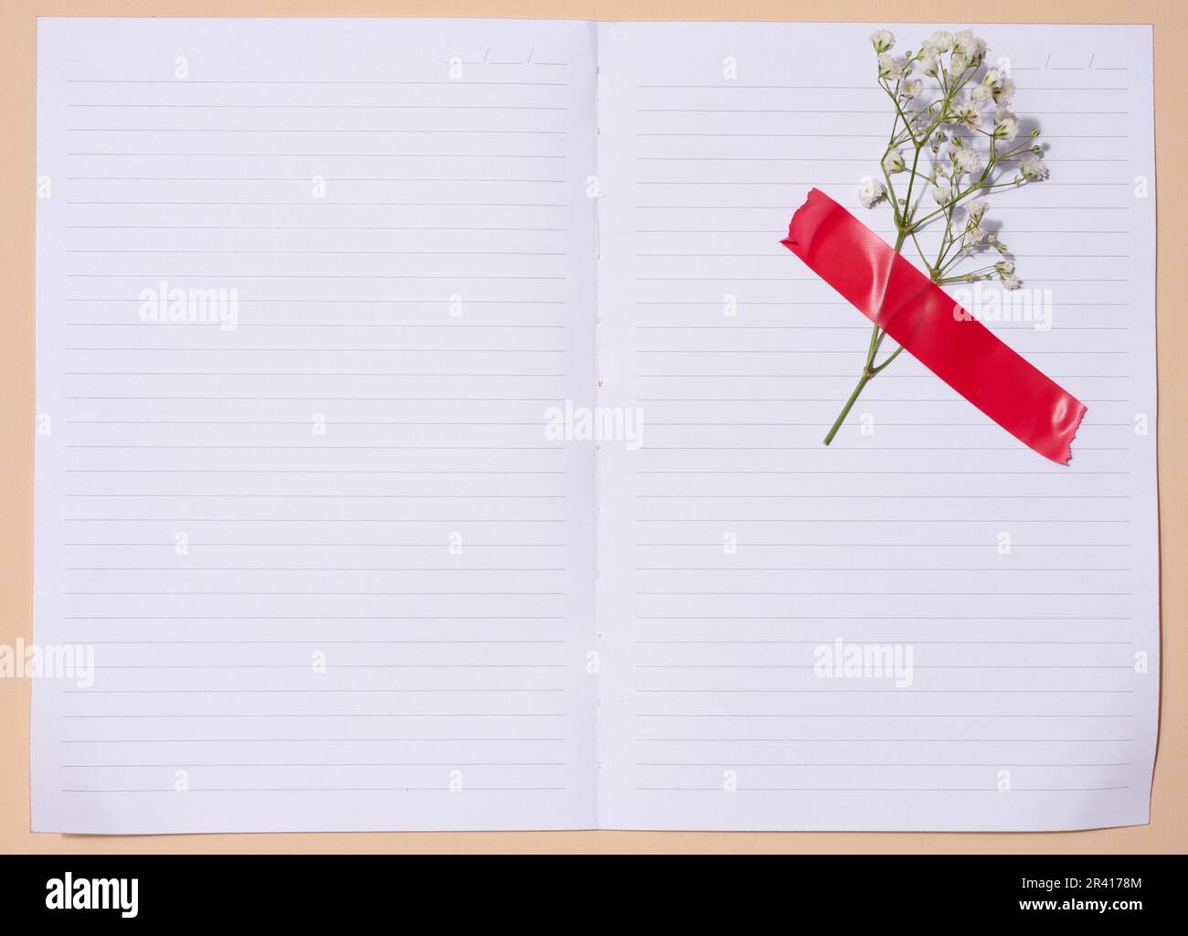 Empty white sheet of paper and gypsophilia flowers on a beige ...