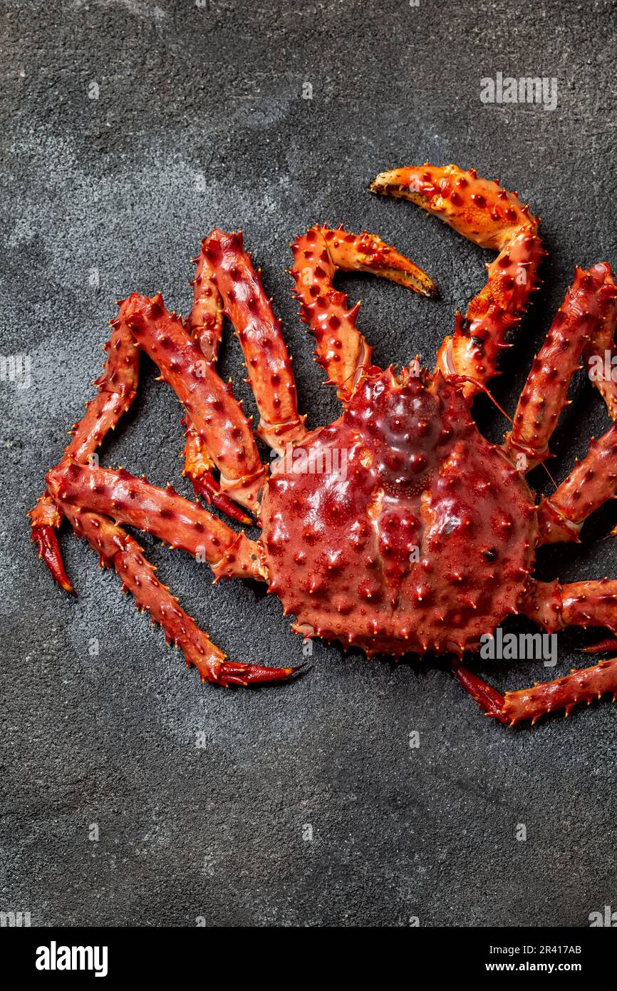 Red king crab on gray background. King crab, lemon and cilantro, top ...