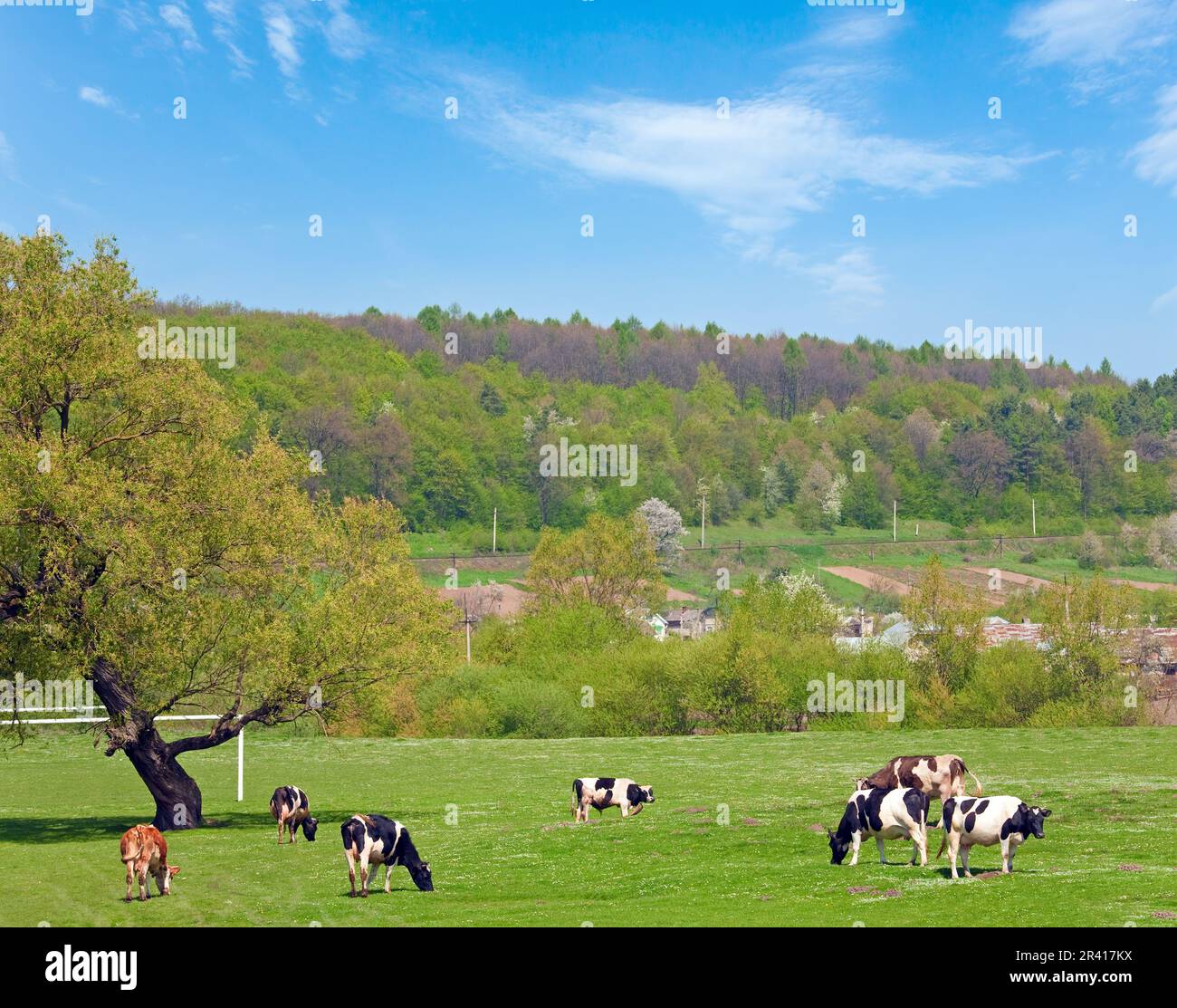 Country house clouds spring hi-res stock photography and images - Alamy