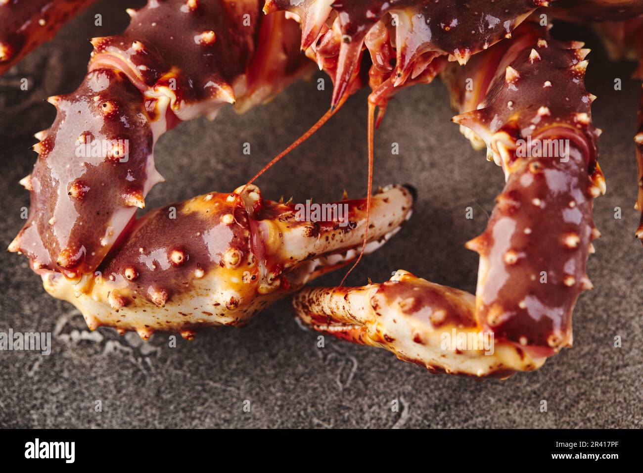Live king crab on hi-res stock photography and images - Alamy