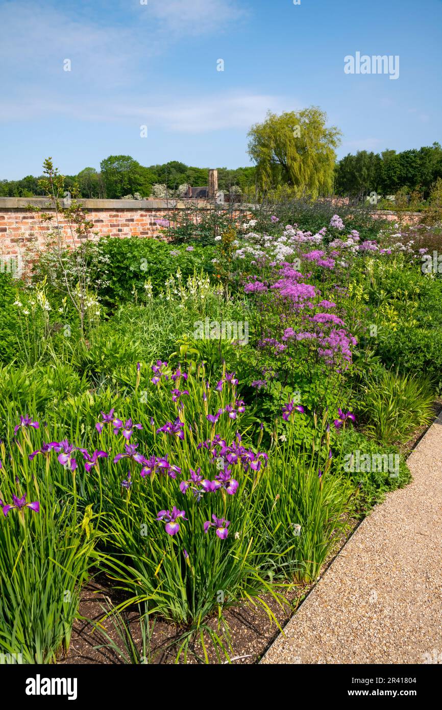 Herbaceous border at RHS Bridgewater, Greater Manchester, England Stock ...