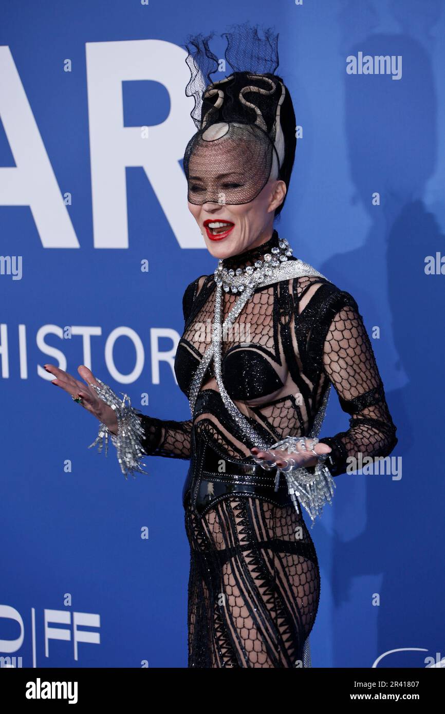 Daphne Guinness poses for photographers upon arrival at the amfAR ...