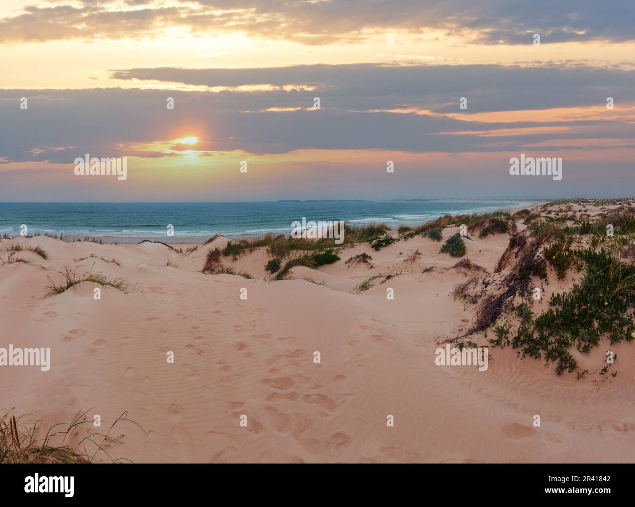 Alfarroba hi-res stock photography and images - Alamy