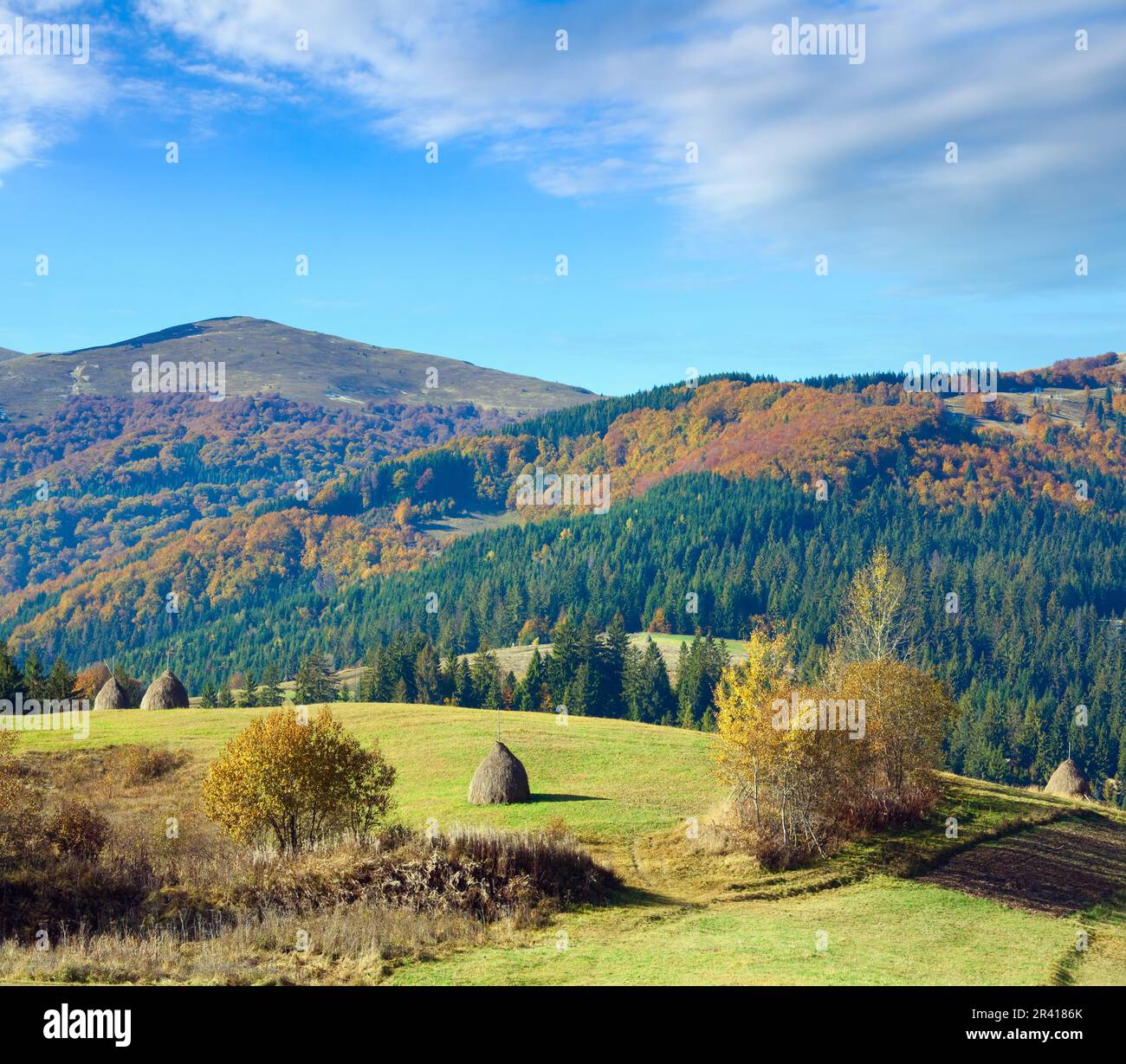 Beautiful carpathian scenery mountain hi-res stock photography and ...